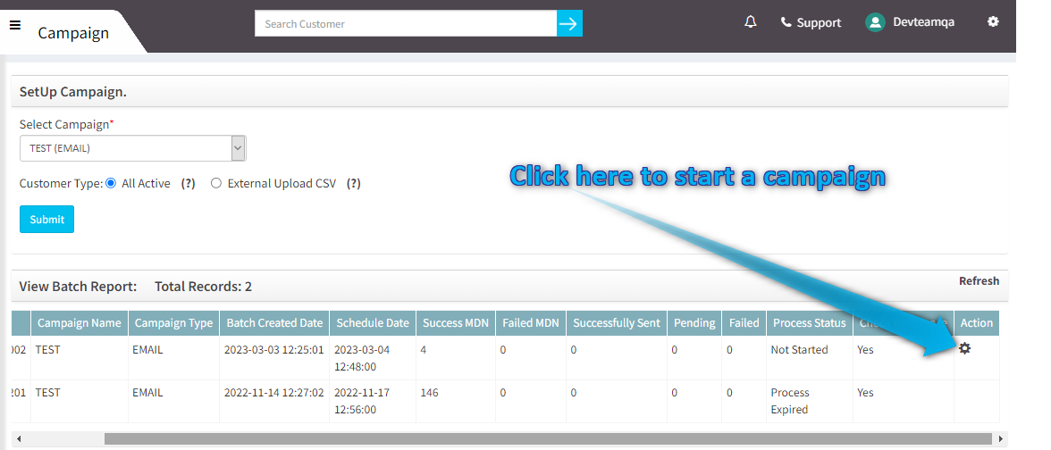 How does Campaign Management System work for Customer Preference ...
